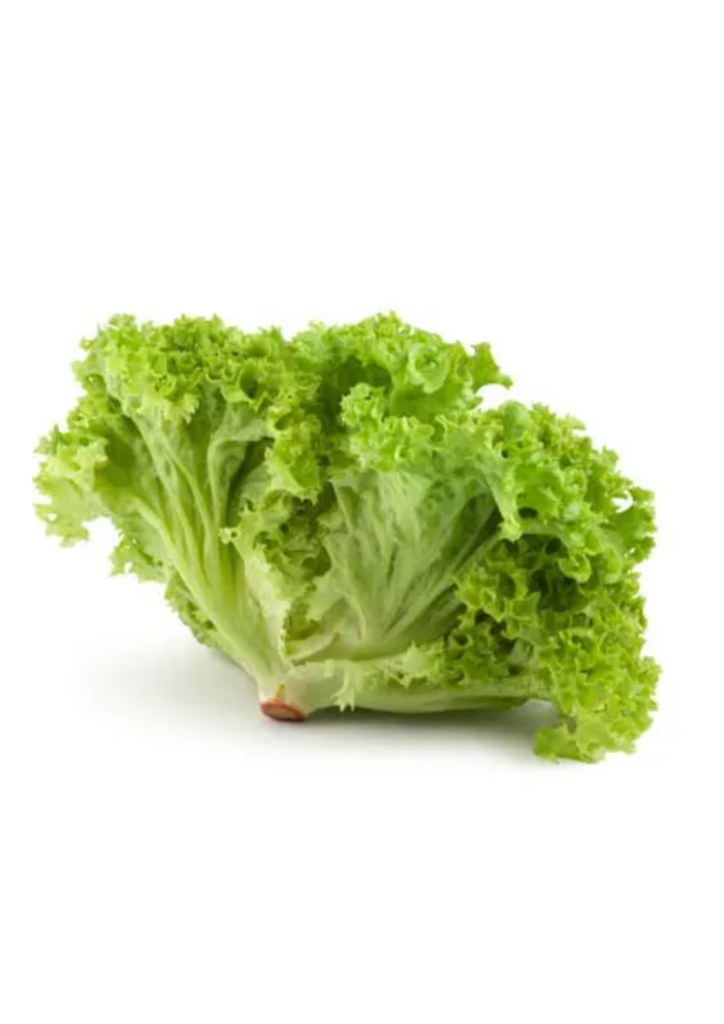 Organic Green Curly Lettuce, Per 250g – Alive Wholefoods Store