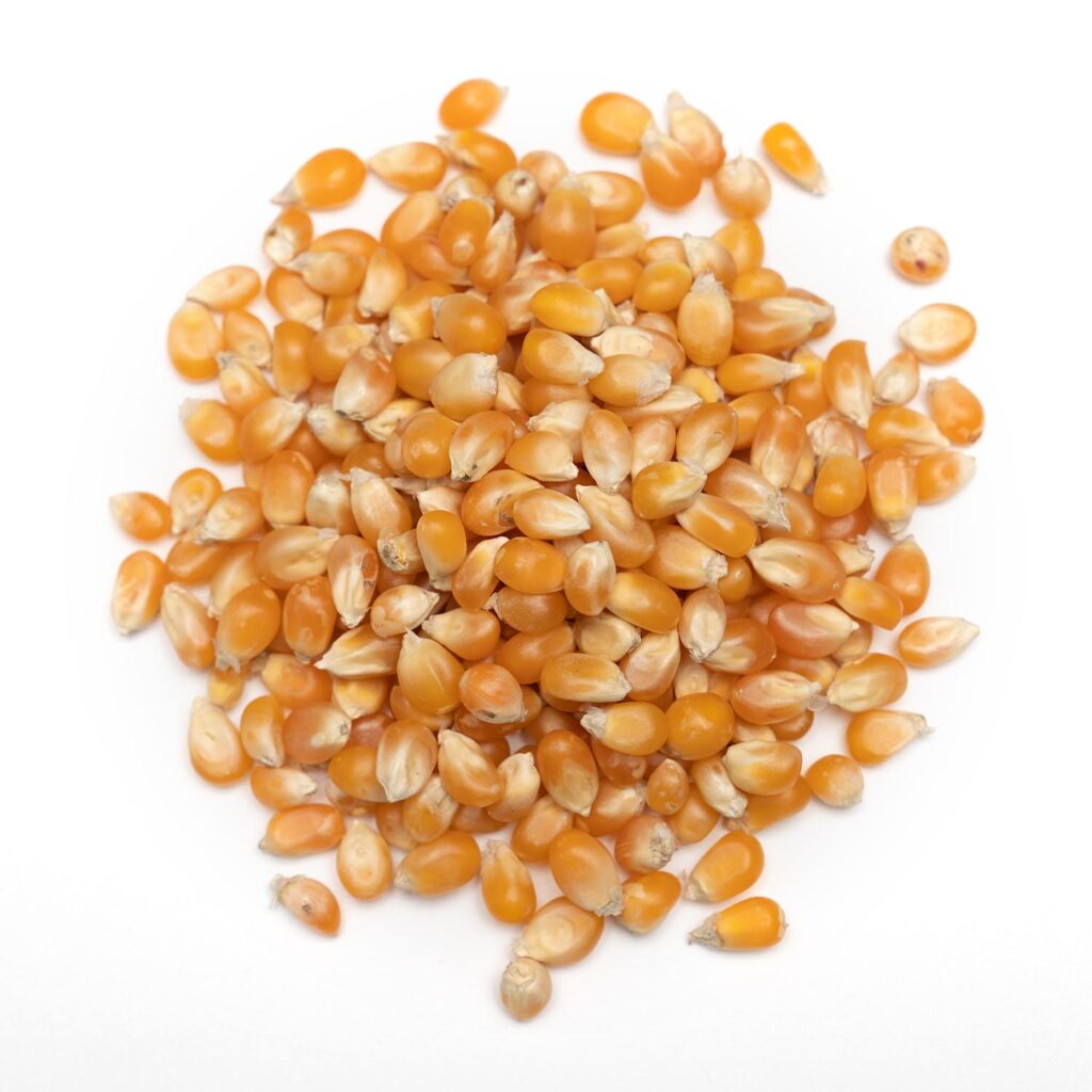 Popping Corn Kernals 100g – Alive Whole Foods