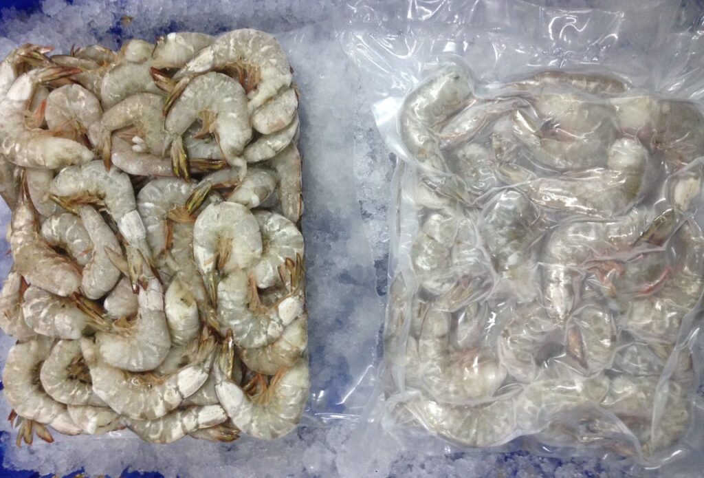 Wild Sea Prawns 500g – Alive Wholefoods Store