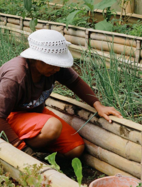 Ethically Produced – Alive Whole Foods